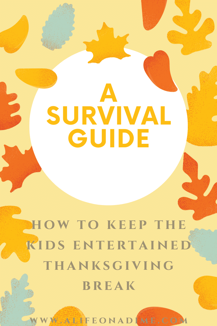 HOW TO KEEP THE KIDS ENTERTAINED THANKSGIVING BREAK · a life on a dime